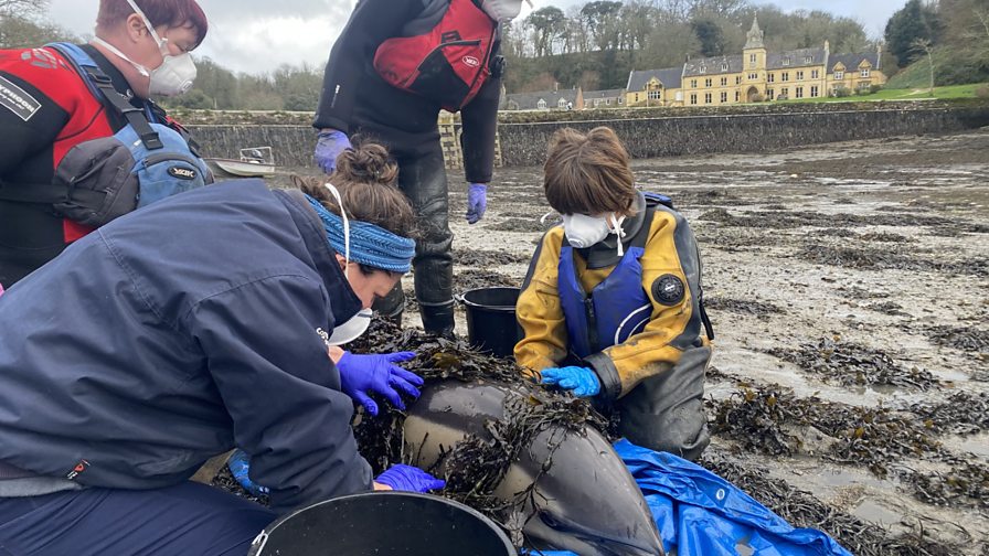 BBC Radio Cornwall - Emma Gill