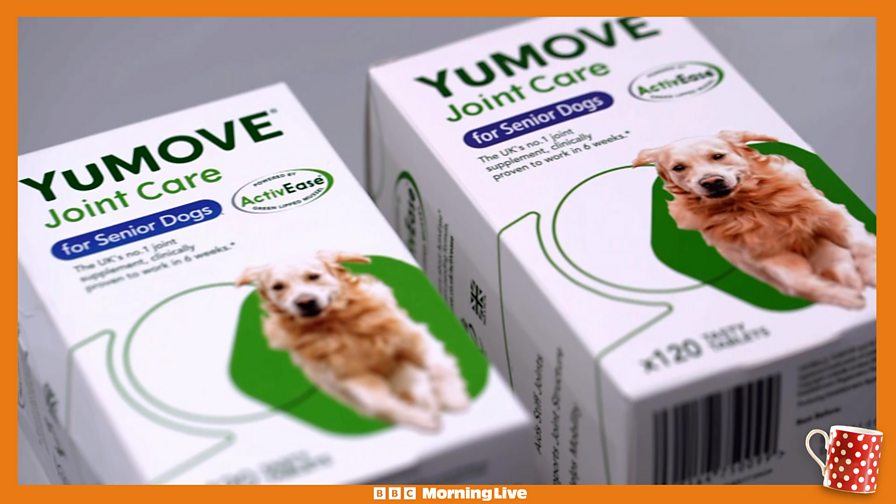 BBC One - Morning Live, Why some pet supplements could be counterfeit