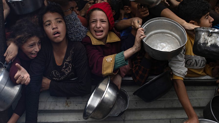 BBC World Service - Weekend, Naomi Seibt on AfD and Elon Musk