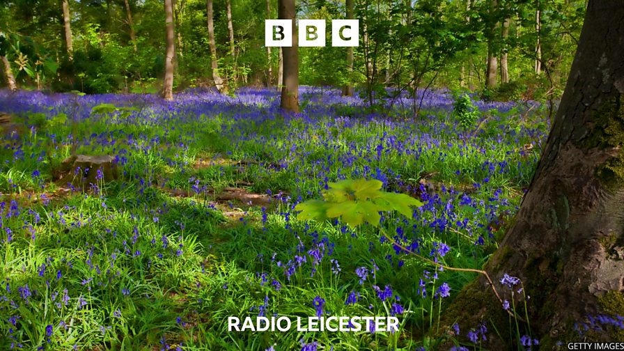 BBC Radio Leicester - Leicester, Moat Community College's approach to ...