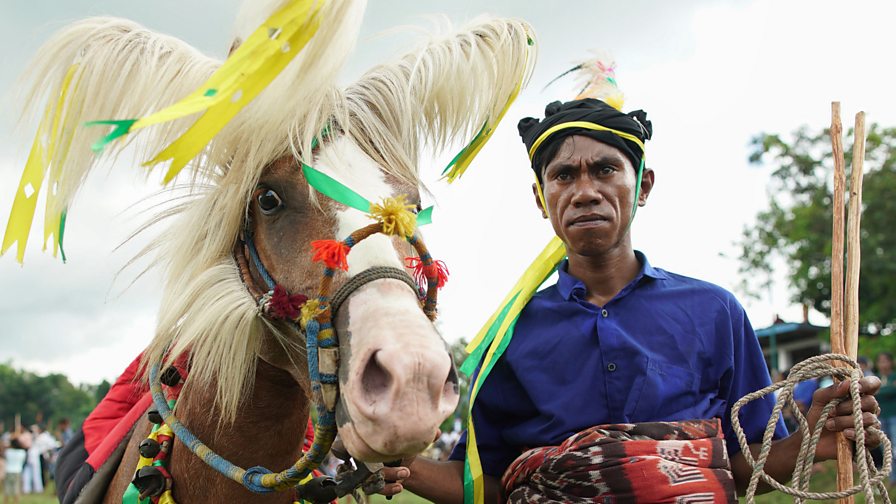 BBC Two - Tribe with Bruce Parry - Available now