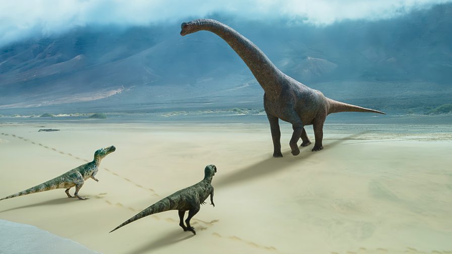 BBC One - Walking With Dinosaurs