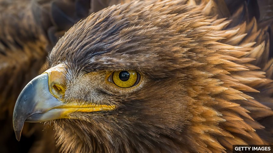 BBC - BBC Learning English, Titanic: A child survivor's story