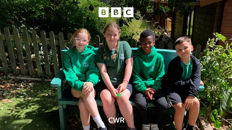 BBC CWR - CWR Breakfast with Phil Upton, Star School: Blue Coat Church ...