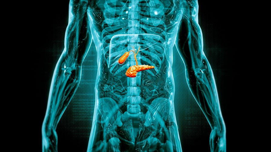 BBC News - Tech Now - Available now