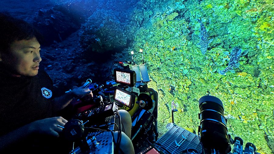 BBC Two - Deep Ocean: Kingdom of the Coelacanth, A living fossil