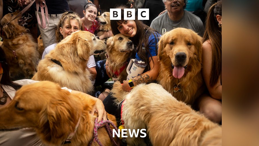 BBC World Service - Newshour, Taliban warn Afghans who wore Peaky ...