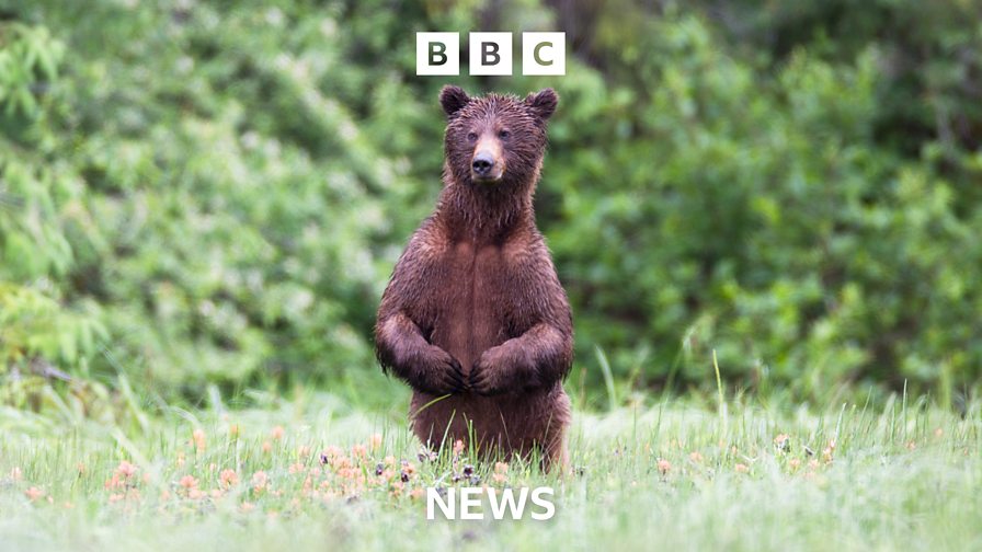 BBC World Service - Happy News, 'Autistic Barbie will make young girls ...