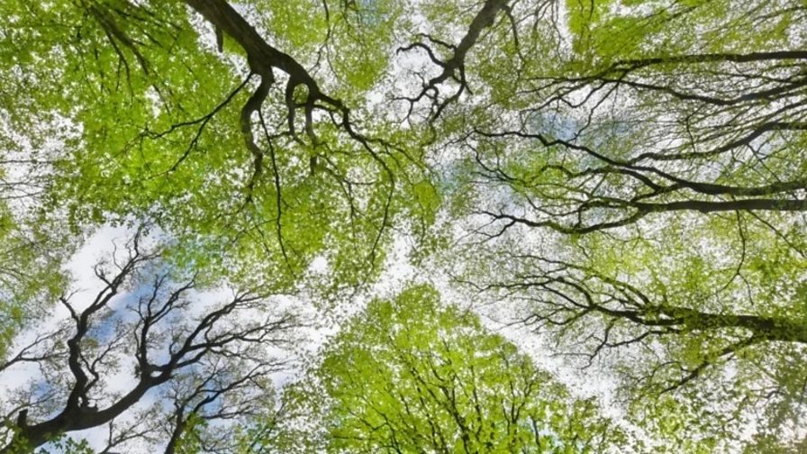 BBC Radio Cornwall - Julie Skentelbery, 26/01/2026, The South West’s ...