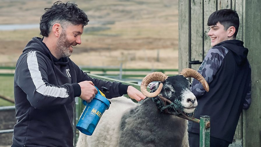 BBC Two - This Farming Life, Series 8 - Available now