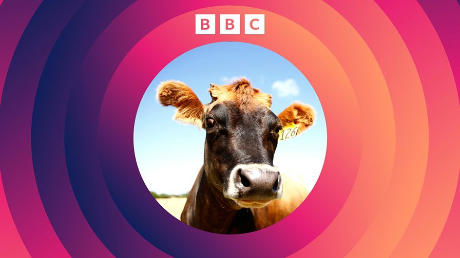 BBC World Service - The Climate Question - Available now