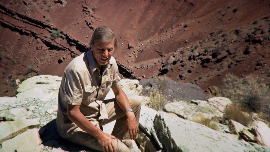 BBC One - Making Life on Earth: Attenborough's Greatest Adventure
