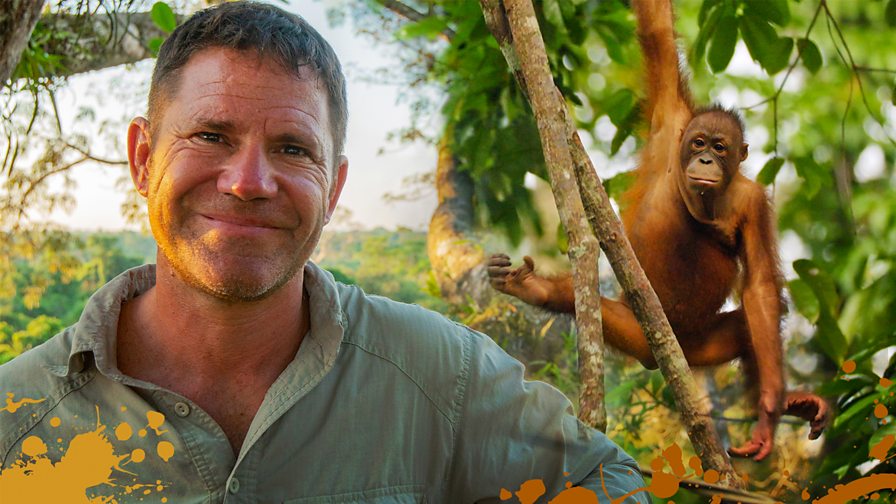 BBC One - Blue Planet II, Series 1, One Ocean