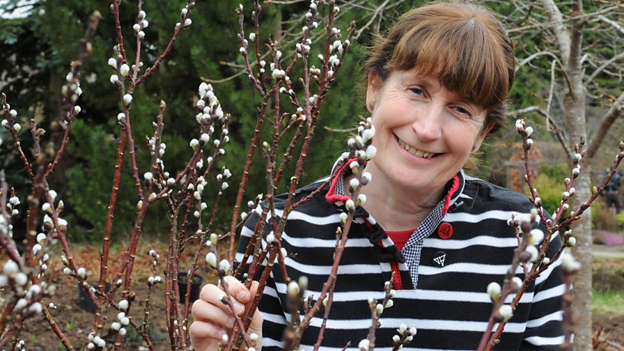 BBC Scotland - BBC Scotland - Breaking new ground: how Carole Baxter ...