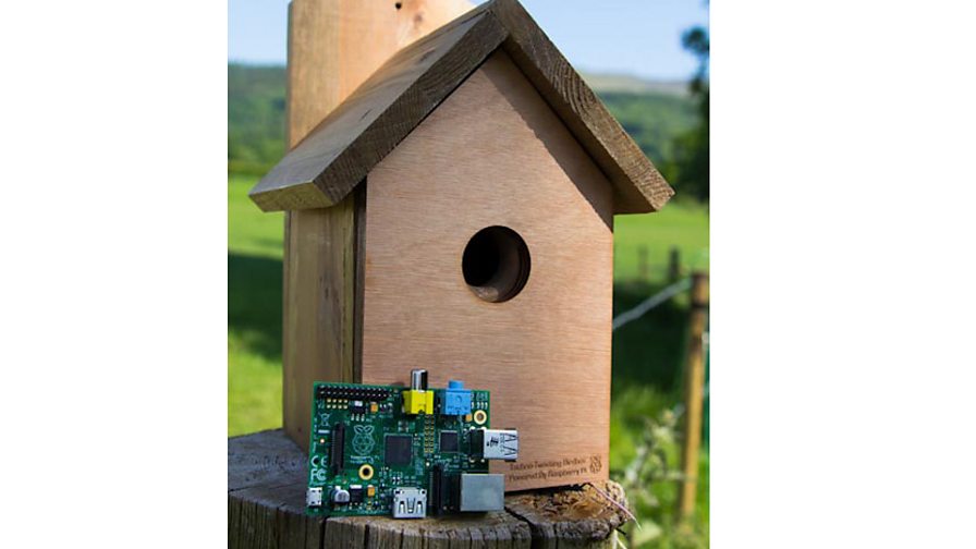 BBC Blogs - Springwatch - Raspberry Pi bird box