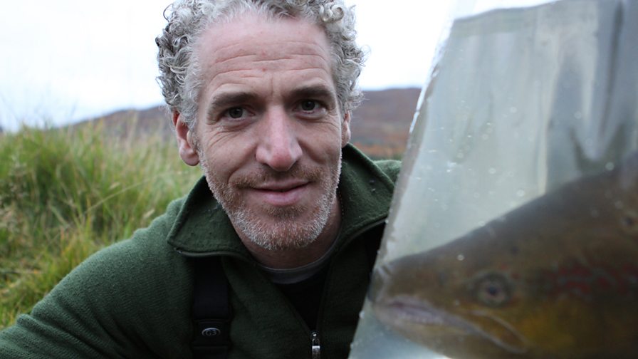 BBC One - Britain's Big Wildlife Revival - Gordon Buchanan