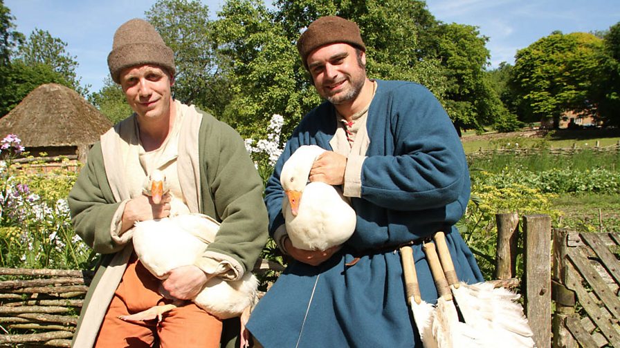 BBC Blogs - TV blog - Tudor Monastery Farm: The animals were the stars