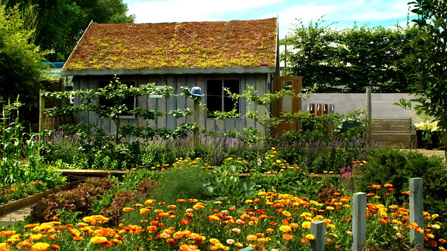 BBC Radio 4 - Radio 4 in Four - Nine handy gardening hints for autumn