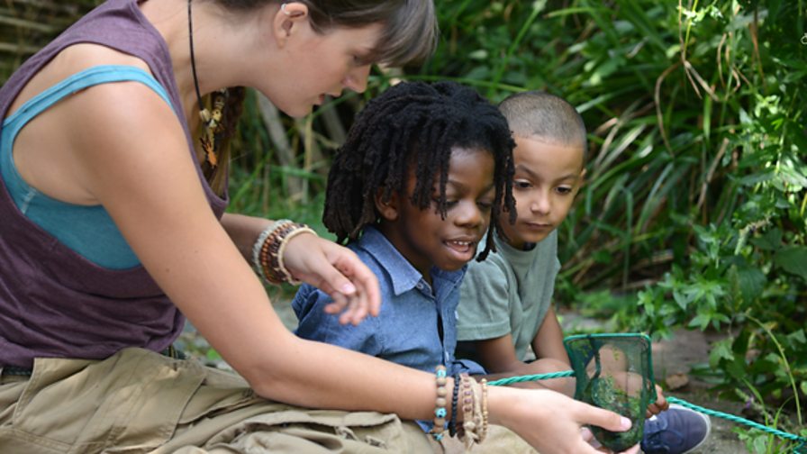 BBC Blogs - CBeebies Grown-ups - Minibeast Adventure with Jess: A brand ...