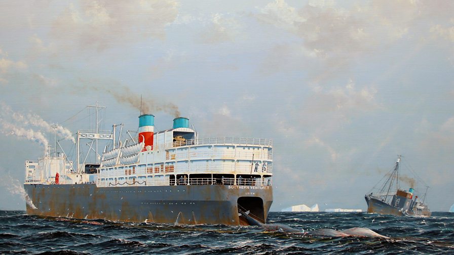 BBC Four - Britain's Whale Hunters: The Untold Story - A glimpse into ...