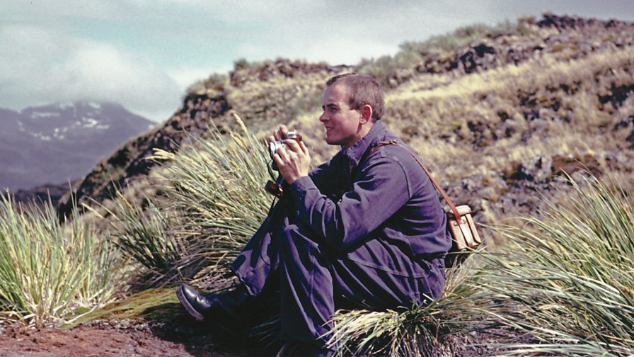 BBC Four - Britain's Whale Hunters: The Untold Story - A glimpse into ...