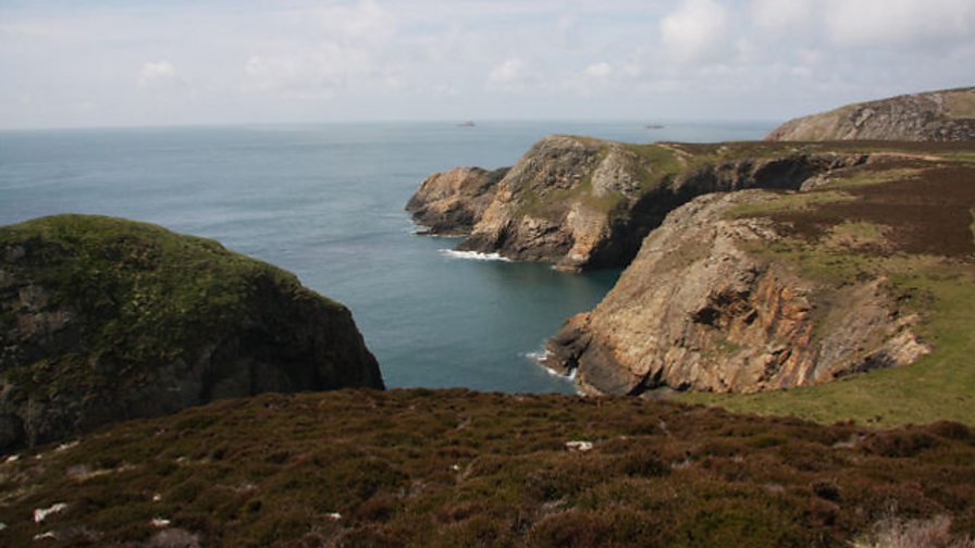 BBC Blogs - Wales - The spectacular beauty of Ramsey Island