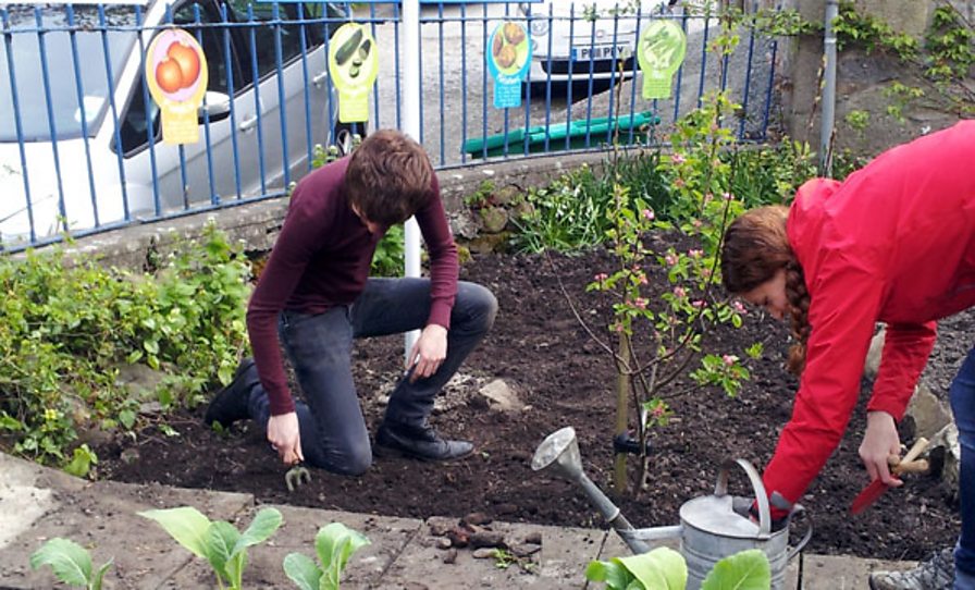 BBC Blogs - CBeebies Grown-ups - Mr Bloom's Nursery: Combined ...