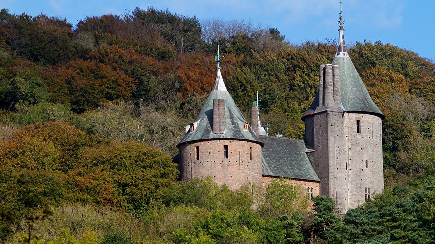BBC Blogs - Wales - The Castell Coch vineyard