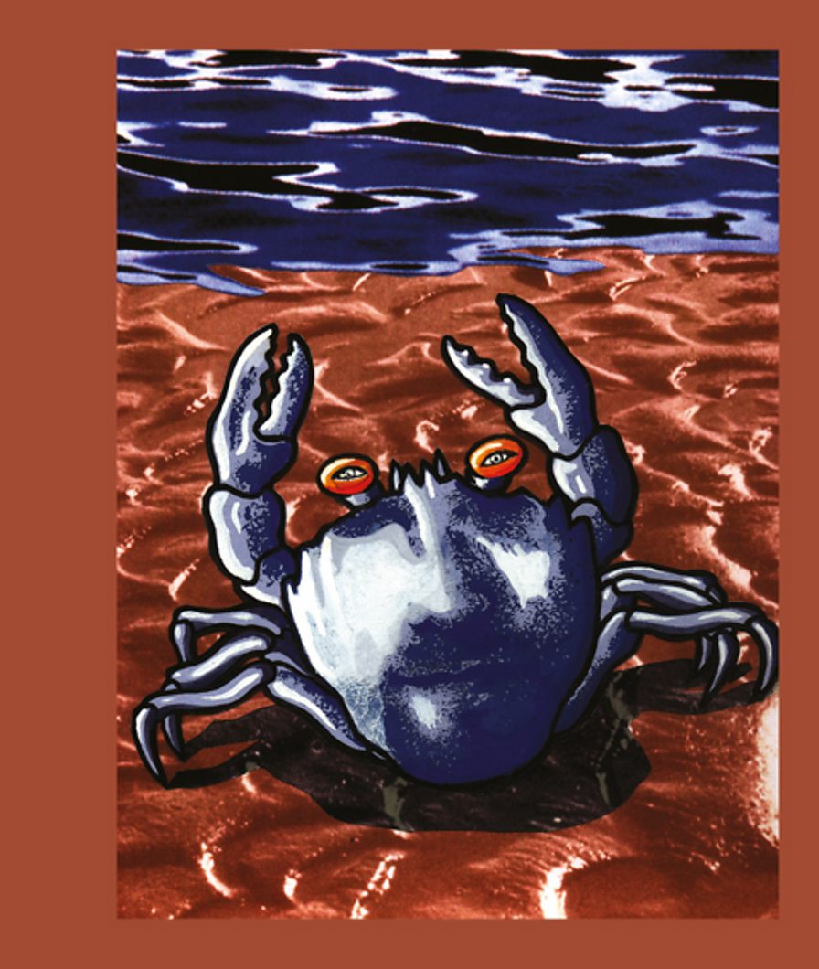 BBC Arts - BBC Arts - Behind NME lines: Celebrating the visual riffs of ...