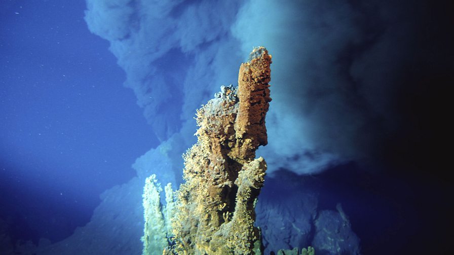 BBC Radio 4 - In Our Time, Extremophiles