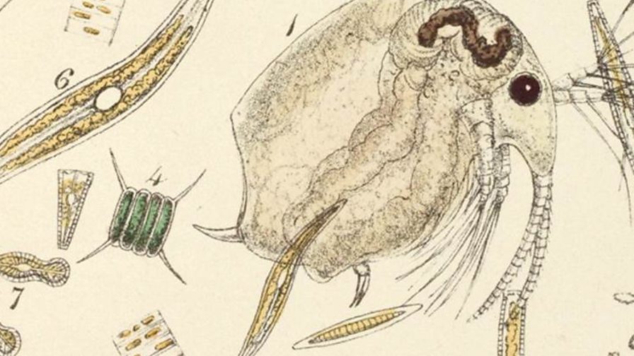 BBC Arts - Get Creative - Putting art under the microscope