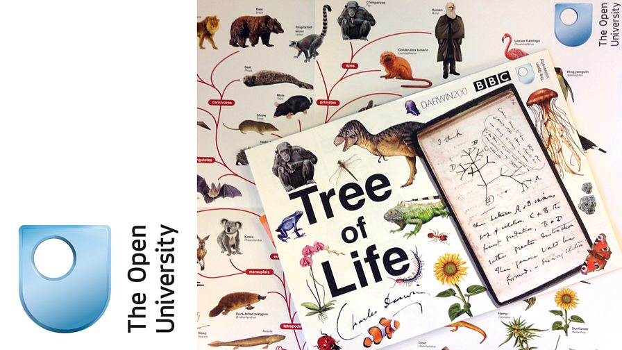 BBC One - Charles Darwin and the Tree of Life
