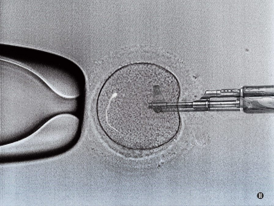 BBC Arts - BBC Arts - The Modern Face of Syria: Imranovi's art of war