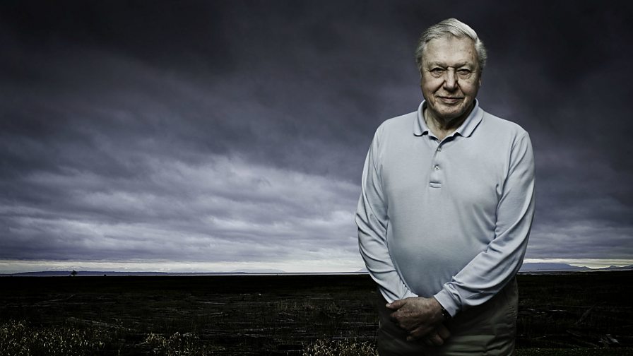 BBC - Do Something Great - Citizen science