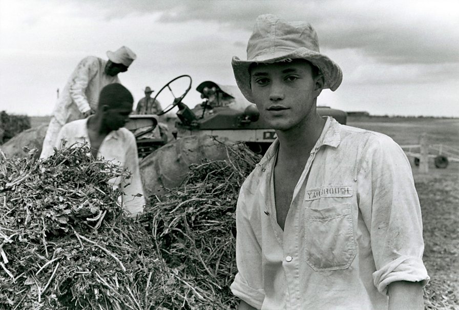 BBC Arts - BBC Arts - Chasing outlaws: How Danny Lyon changed photography