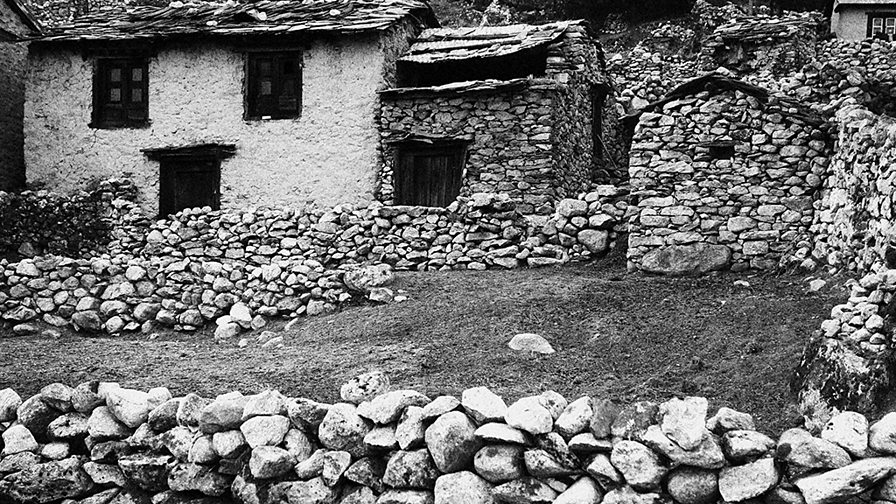 BBC One - Planet Earth II - Ten things you should know about yetis