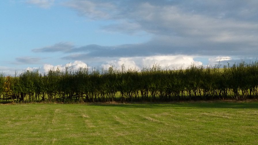 BBC Radio 4 - The Archers - Pat Archer