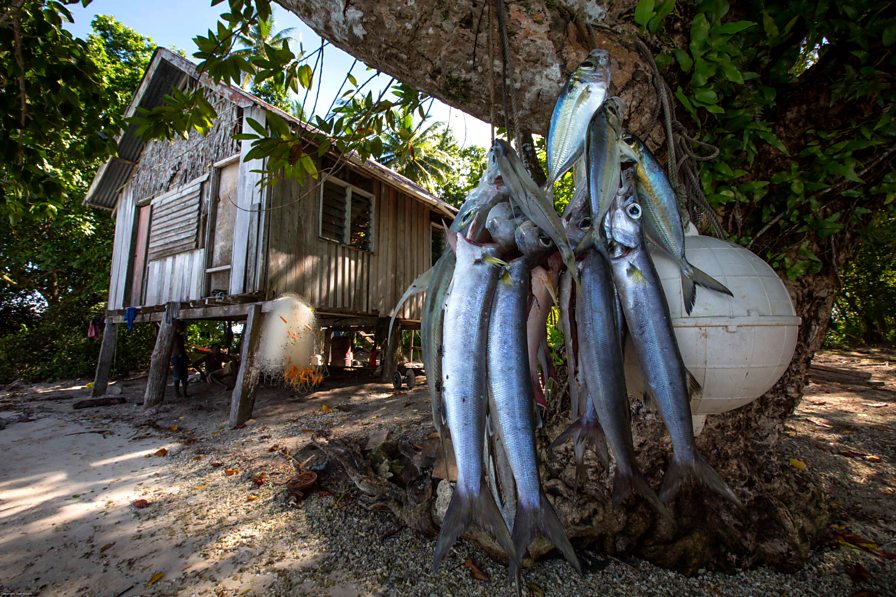 BBC Radio 4 - Costing the Earth, Sinking Solomon Islands - Stunning ...