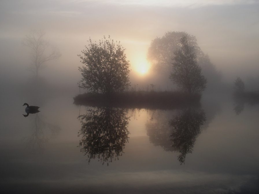 BBC Radio 4 - Dawn Chorus - Seven reasons to get up for the dawn chorus
