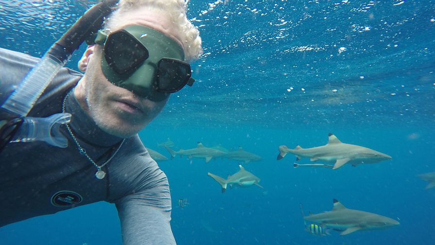 BBC Two - Tribes, Predators & Me - In pictures... The Shark People of ...