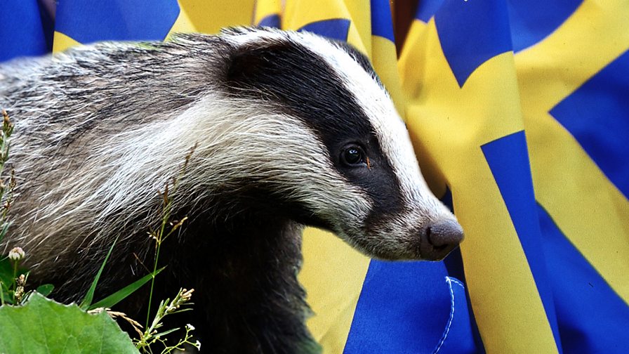 BBC Radio 4 - Funny in Four - 12 Swedish phrases that are well worth ...
