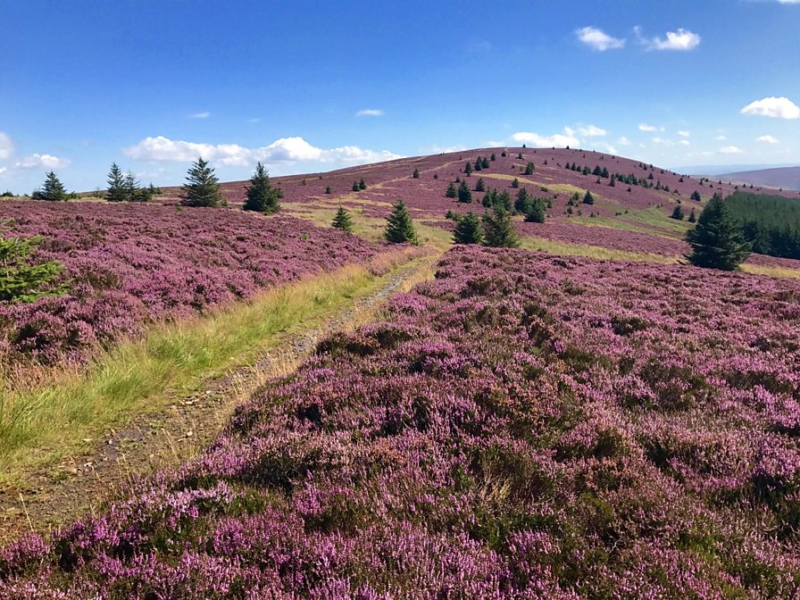 BBC Scotland - BBC Scotland - 5 breathtaking photographs from ...
