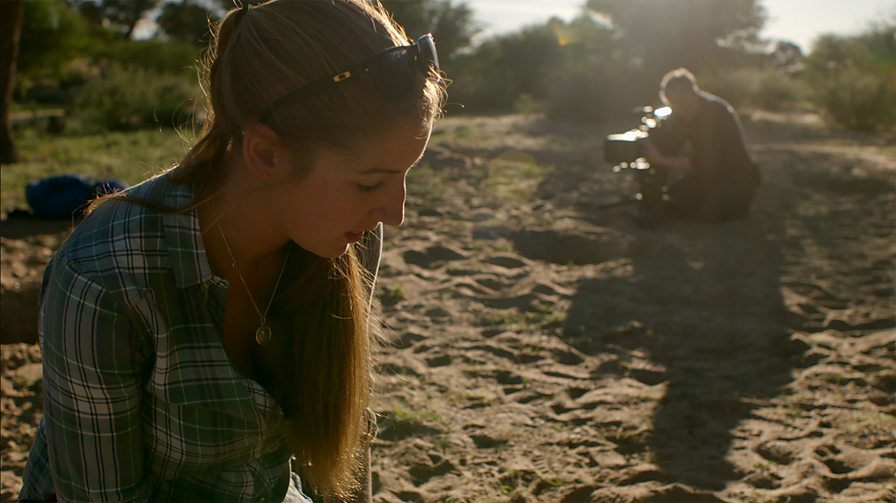 BBC Two - Animals with Cameras - Meet the scientists