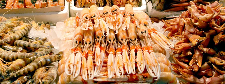 BBC Scotland - BBC Scotland - Plastic’s fantastic alternative — how a ...