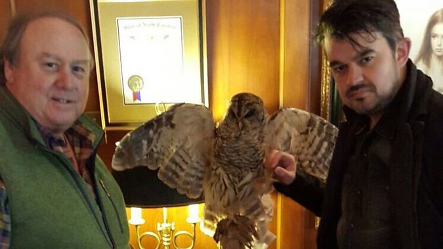 BBC Radio 5 Live - Manhunt: Finding Kevin Parle - The Staircase: 5 ...