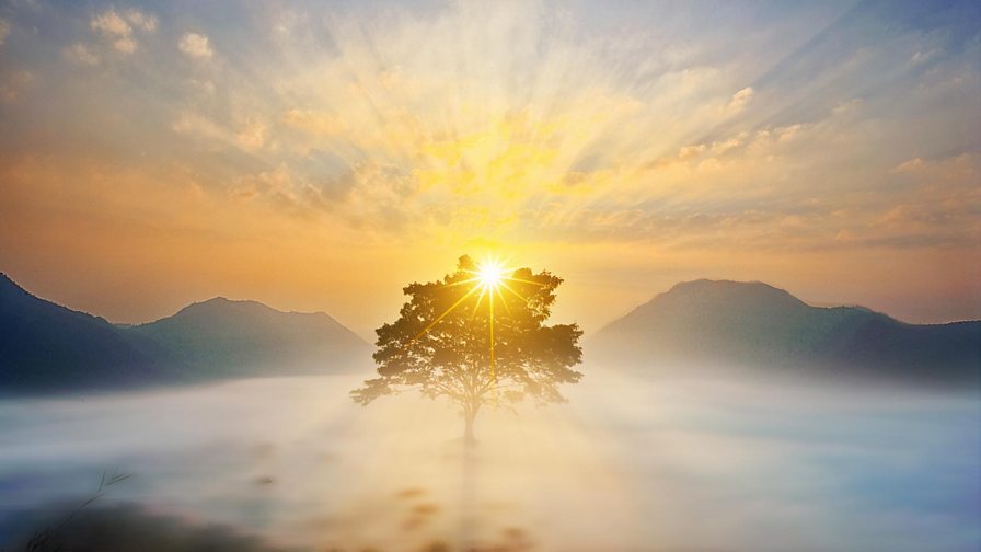 BBC - Why we should all hold on to hope