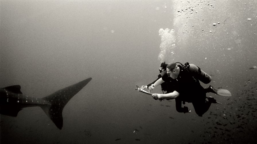 BBC Radio 4 - Seriously... - Five incredible underwater artists