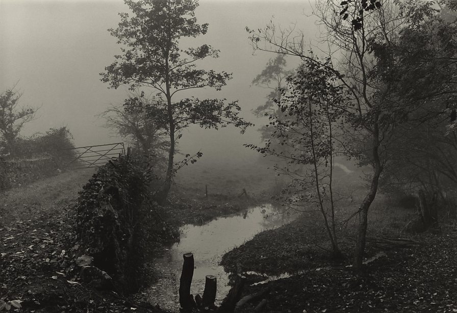 BBC Arts - BBC Arts - War and peace: The compassionate photography of ...