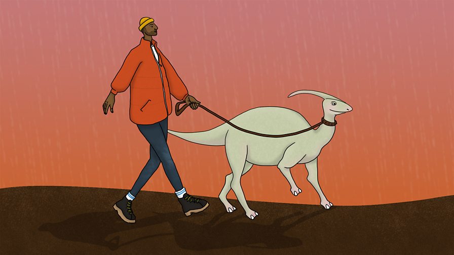 BBC Radio 4 Extra - A Call from Joybubbles