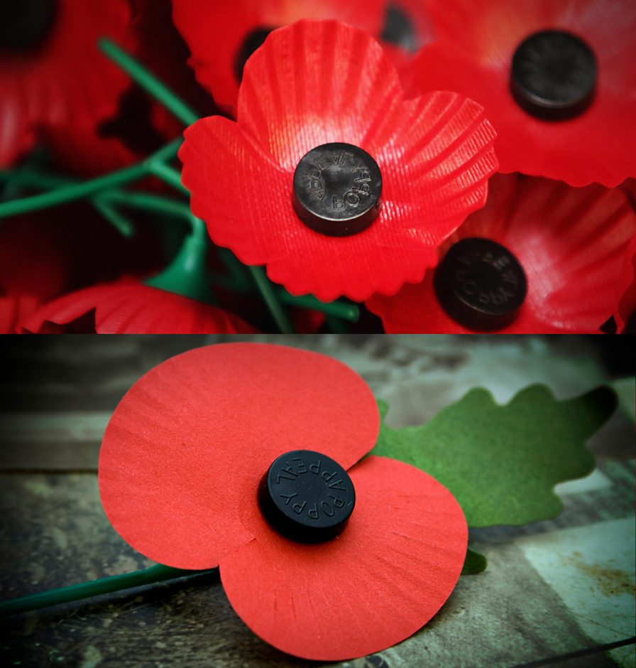 BBC Radio 4 - Natural Histories - Eight surprising facts about the poppy